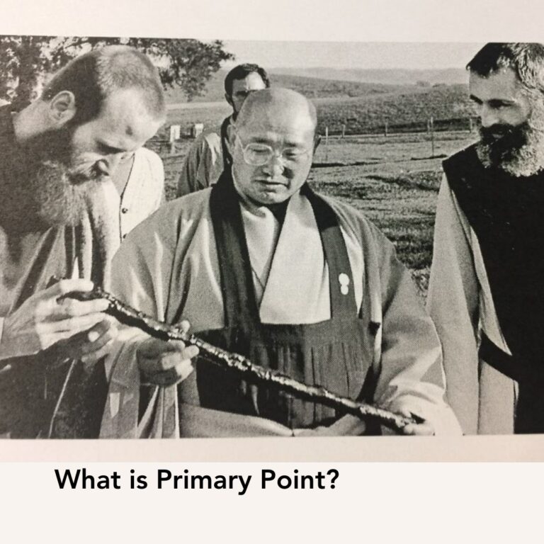 What is Primary Point? - Musangsa