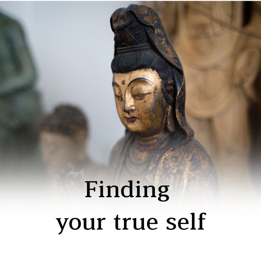 Finding Your True Self - Musangsa