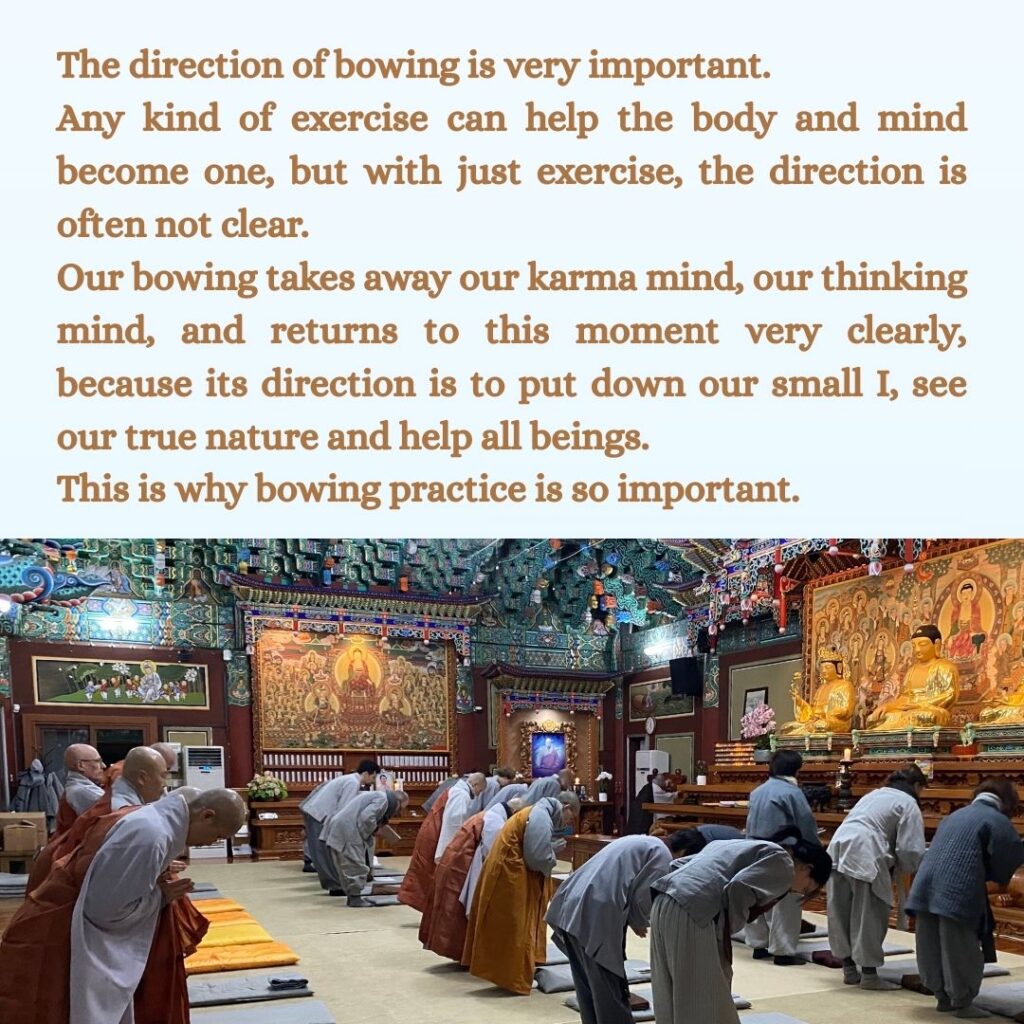 The Direction of Bowing - Musangsa